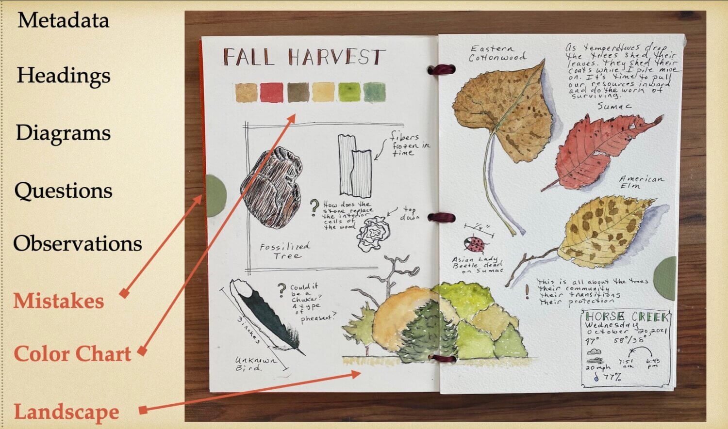 Journal Entry: A Sense of Place – Handcrafted Books by Michele Olsen